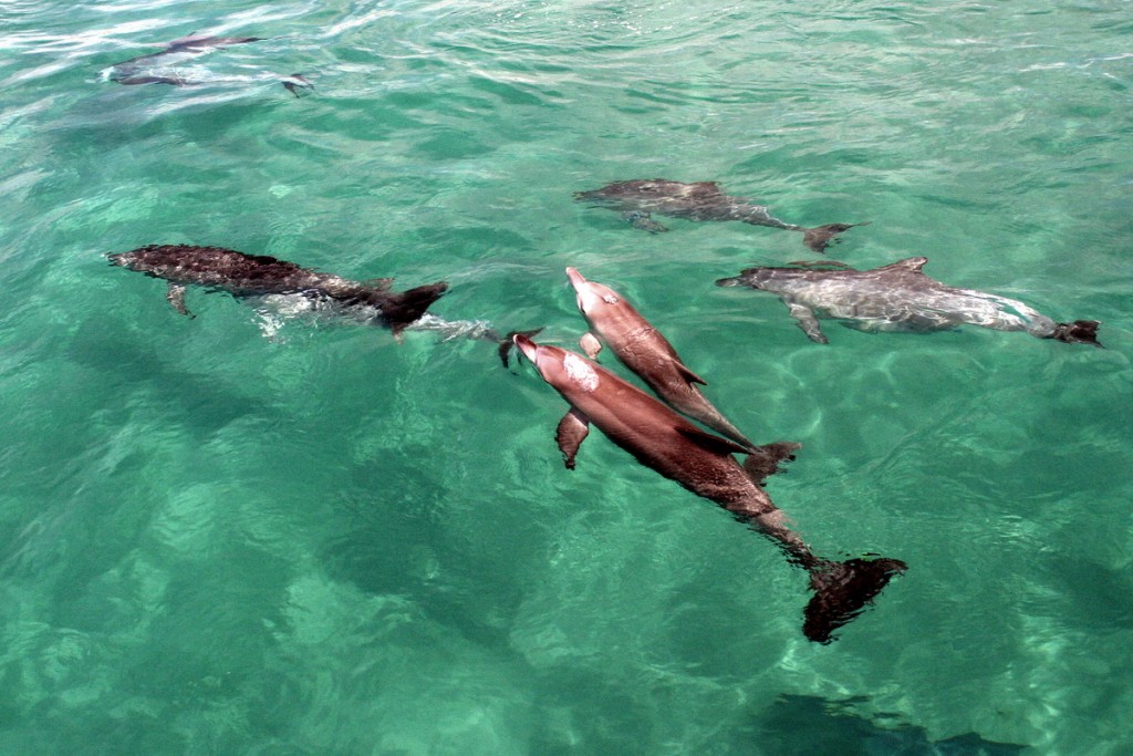 Shane Chalker Photography | Award winning photographer