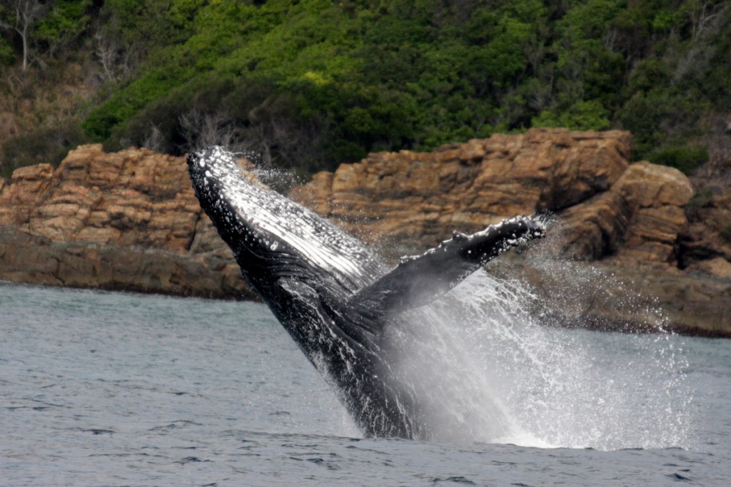 Shane Chalker Photography | Award winning photographer