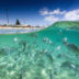 Shane Chalker Photography | Rockpool Locals-Tuncurry Rockpool